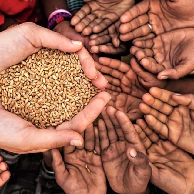 Huda TV Channel | A Light In Every House